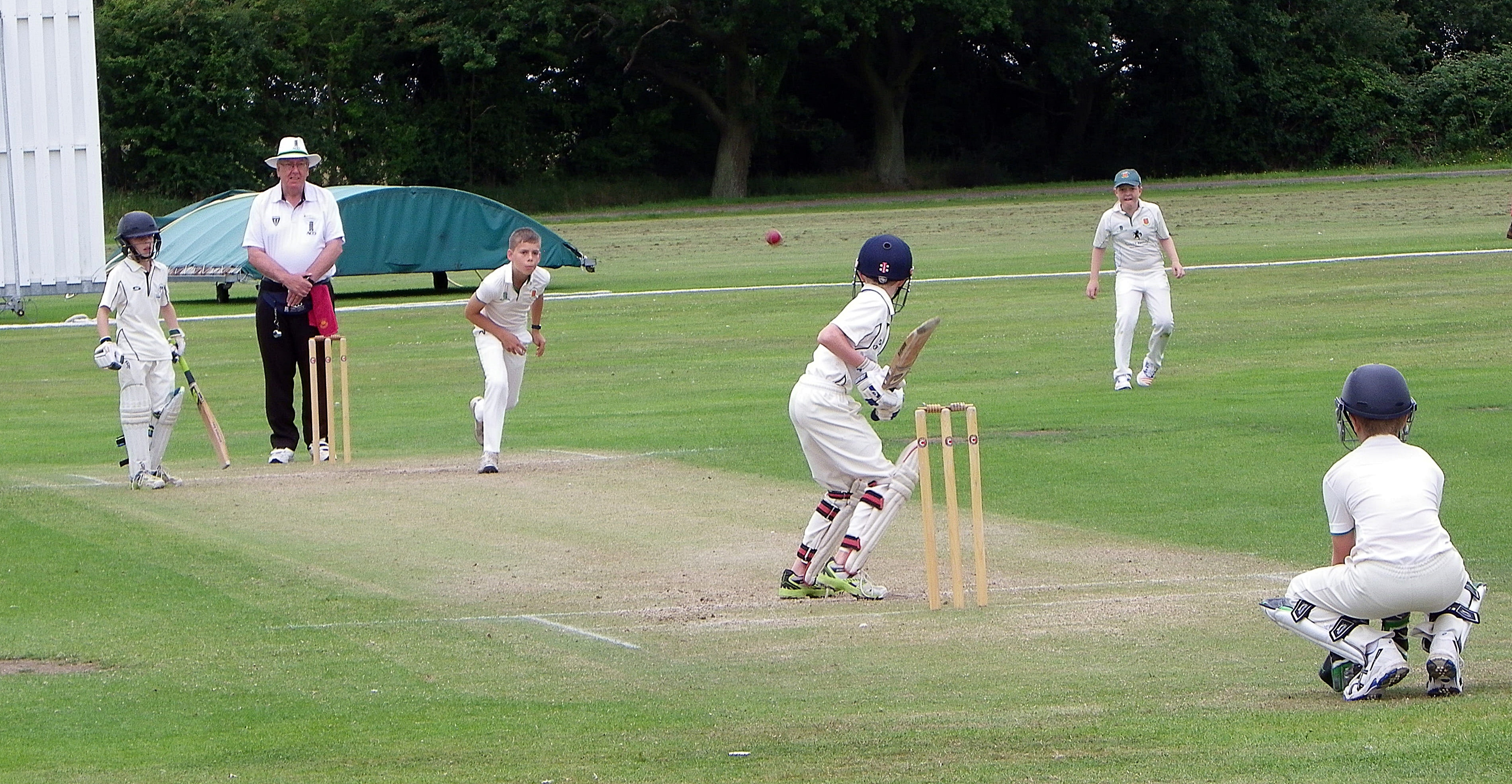 Gallery | Minor Counties Cricket Festival